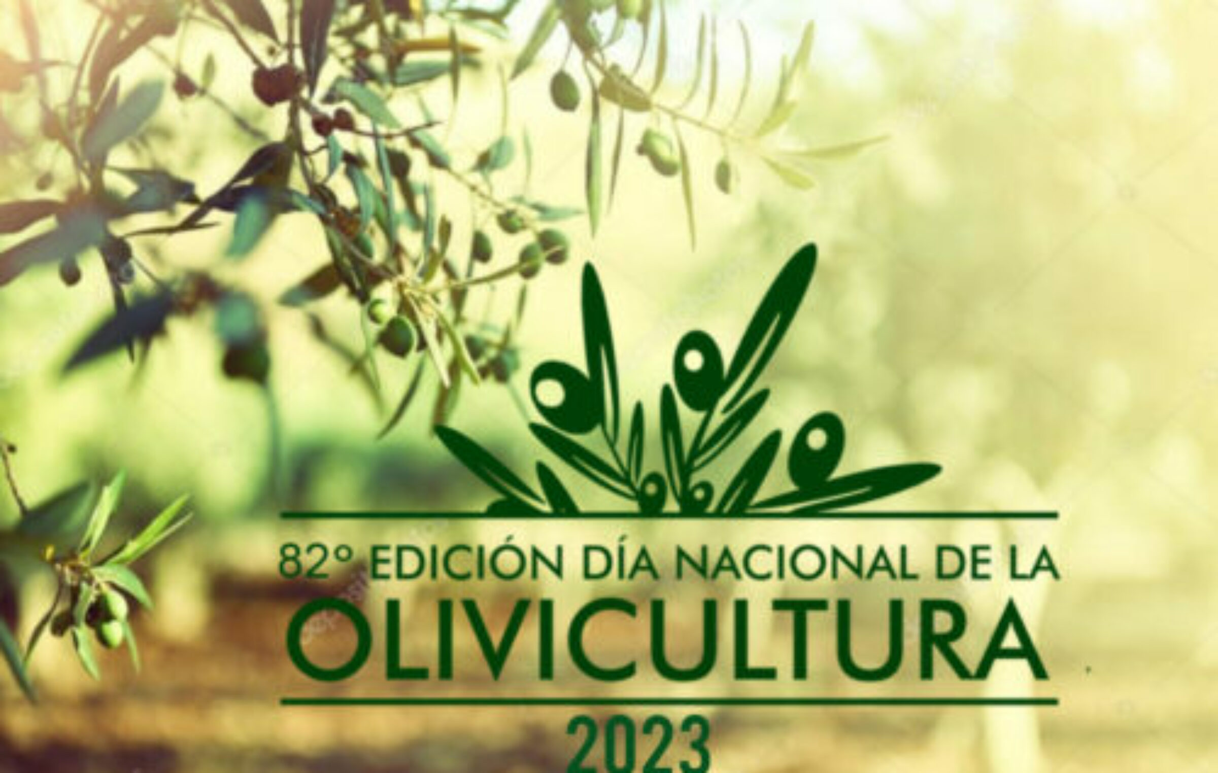 81° Fiesta Nacional de la Olivicultura – Argentina Municipal 81° Fiesta Nacional de la Olivicultura – Argentina Municipal